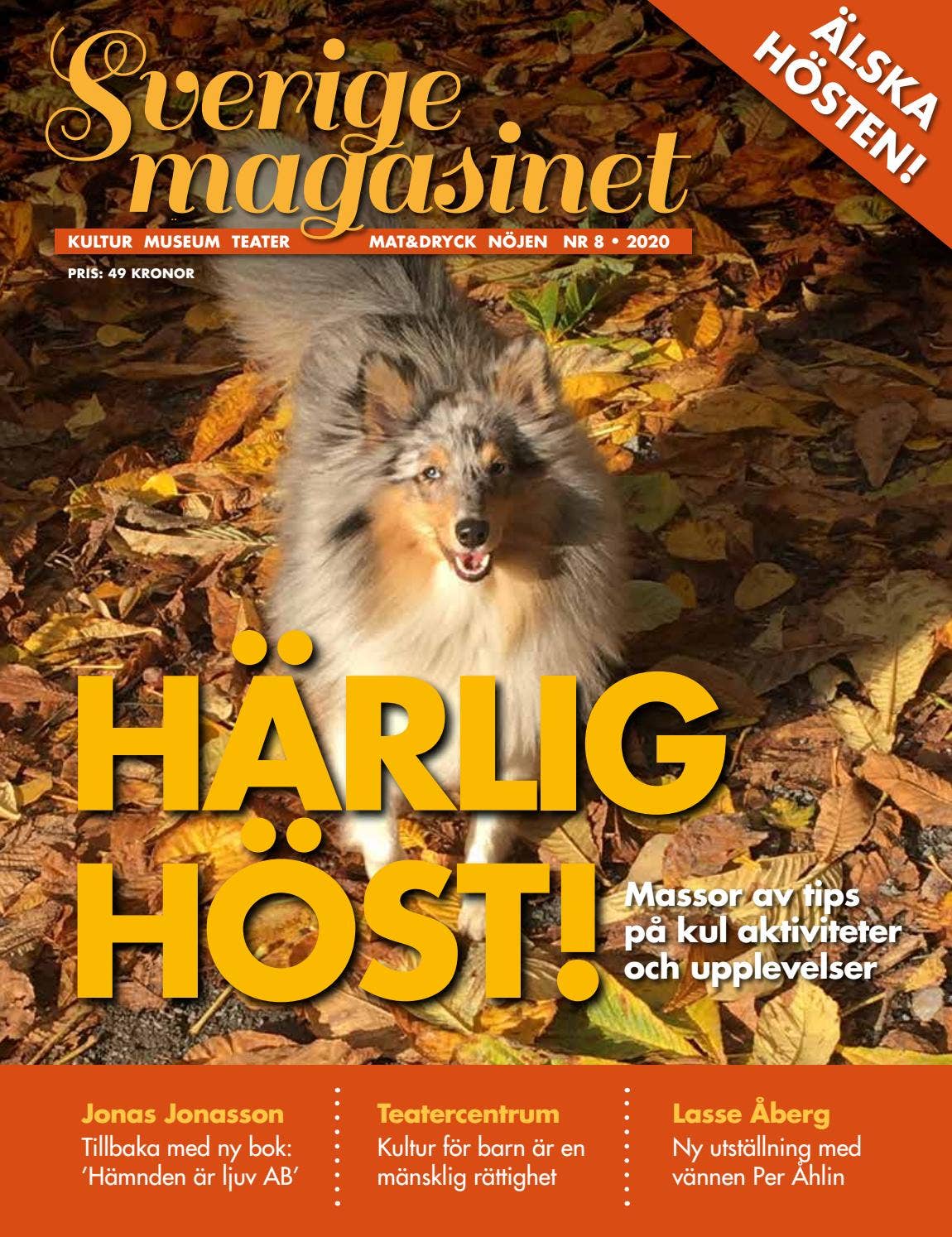 Sverigemagasinet nr 8 2020 by Magasingruppen - Issuu