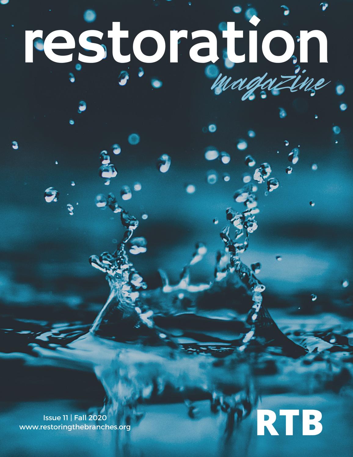 RESTORATION MAGAZINE Vol. 3 Issue 11 by RESTORATION Magazine - Issuu