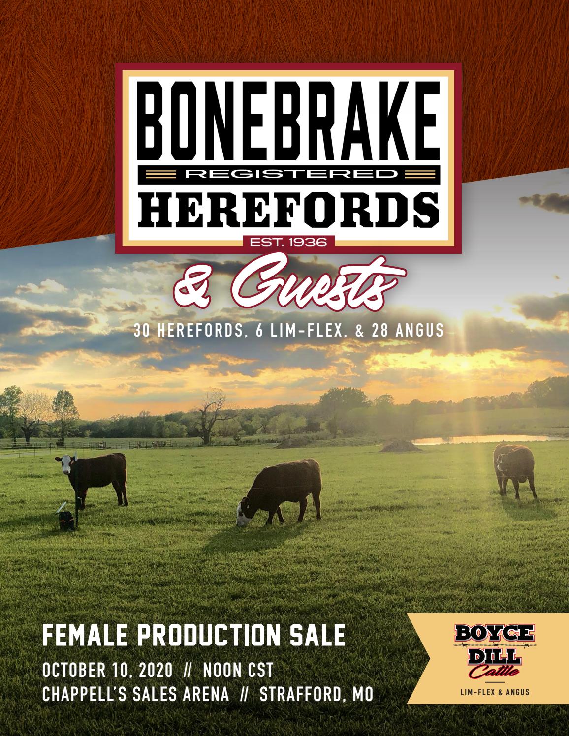 2020 Bonebrake & Guest Sale by makaylareynolds28 - Issuu