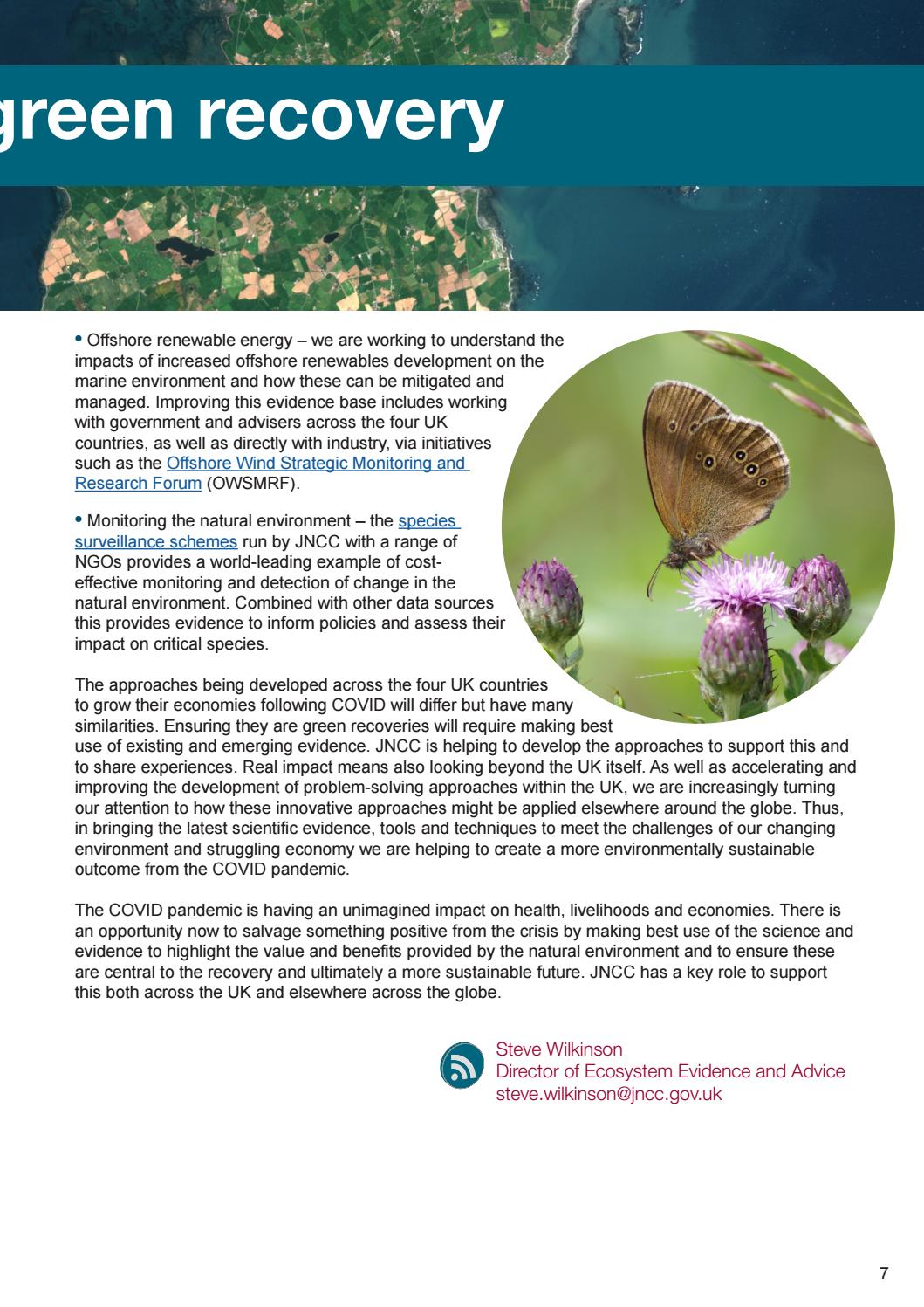 JNCC's Nature News Summer 2020 edition by jncc_uk - Issuu