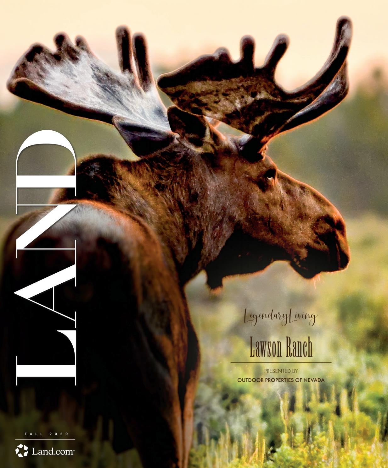 LAND Fall 2020 by LAND Magazines - Issuu