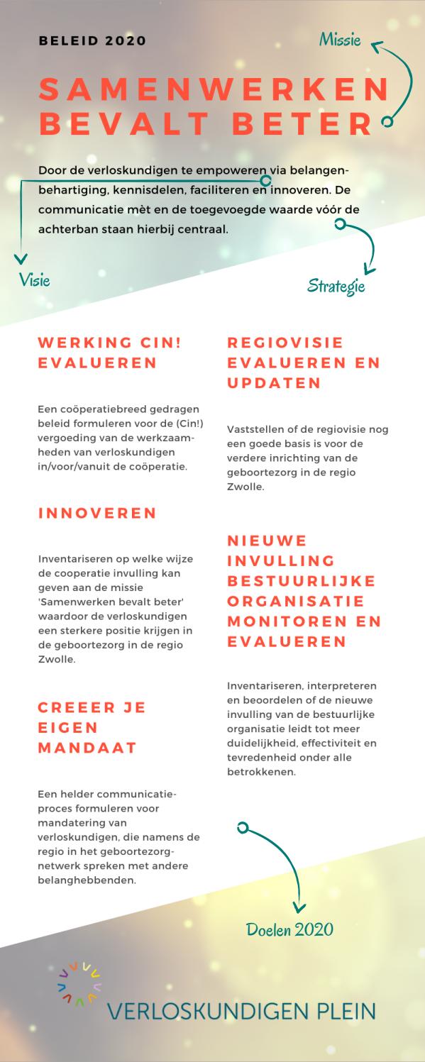 Infographic beleid 2020 by ZinZicht - Issuu