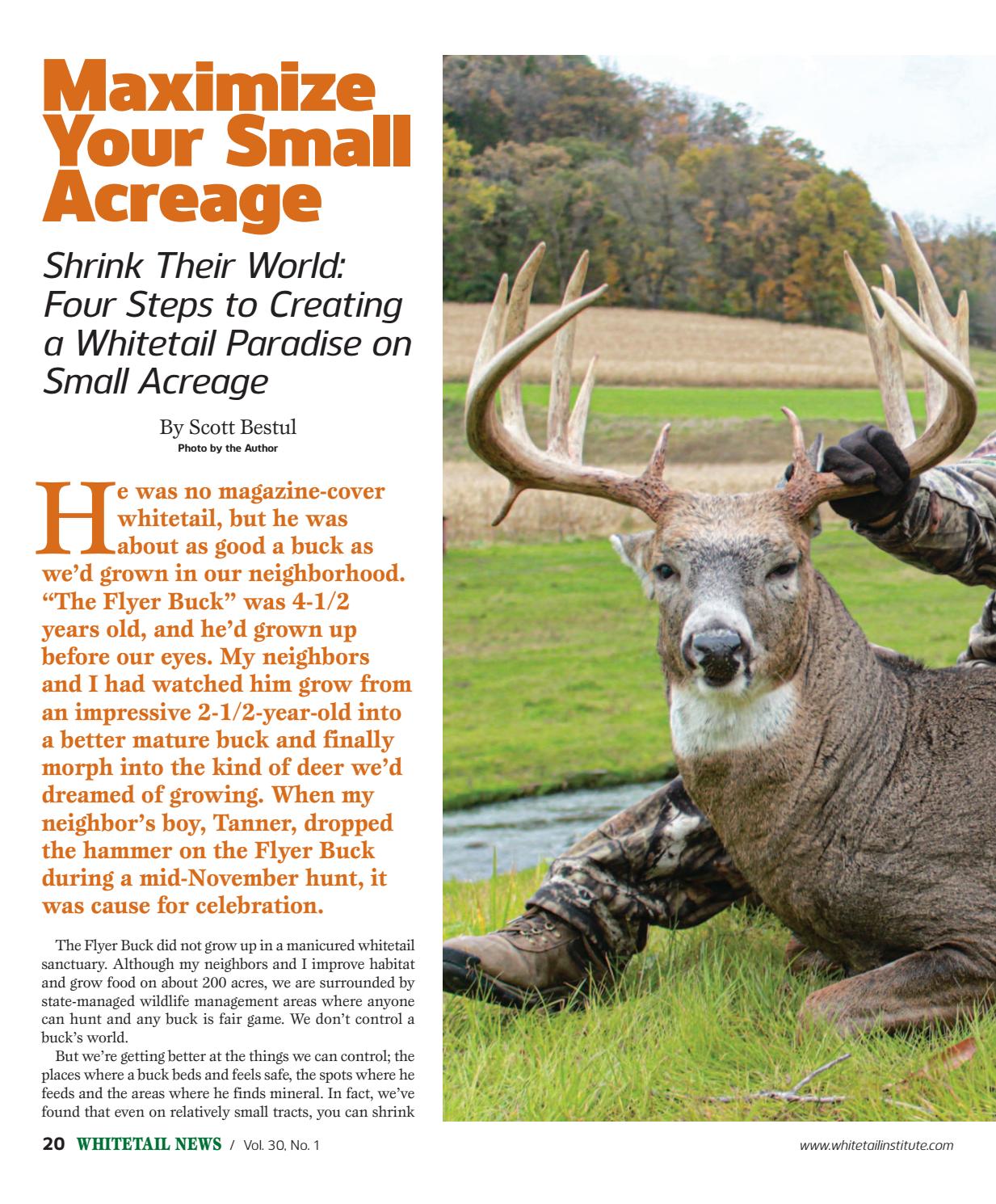 Whitetail News Vol 30.1 by Whitetail Institute - Issuu
