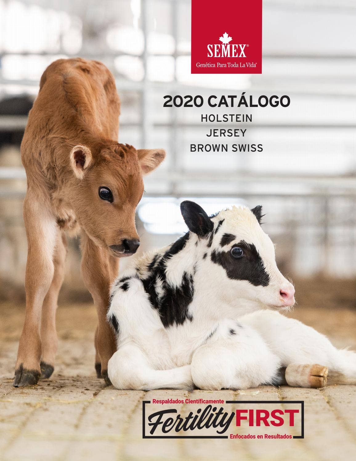 Semex - Catálogo de Mexico - Septiembre 2020 by Semex - Issuu