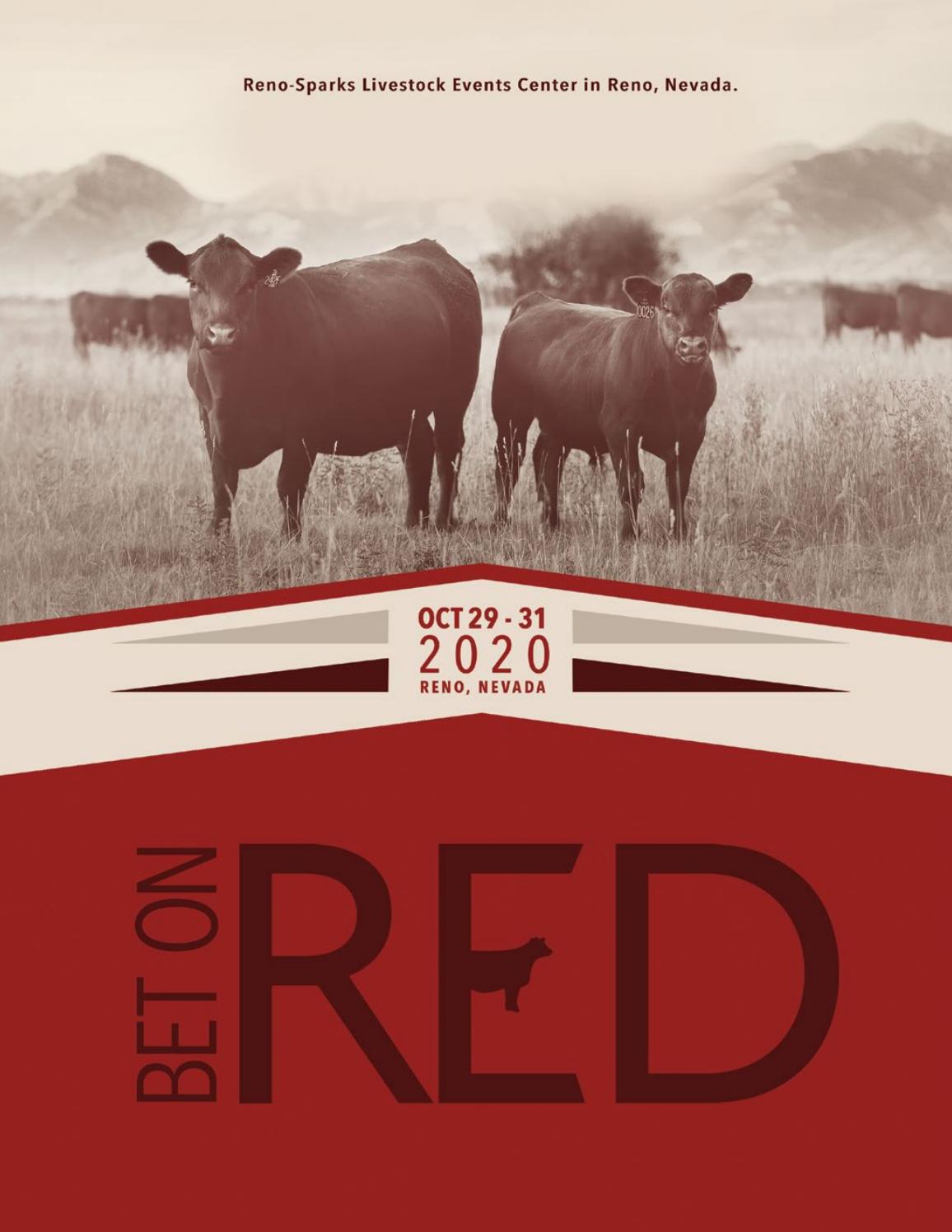 Bet on Red 2020 by jamieraepittman - Issuu