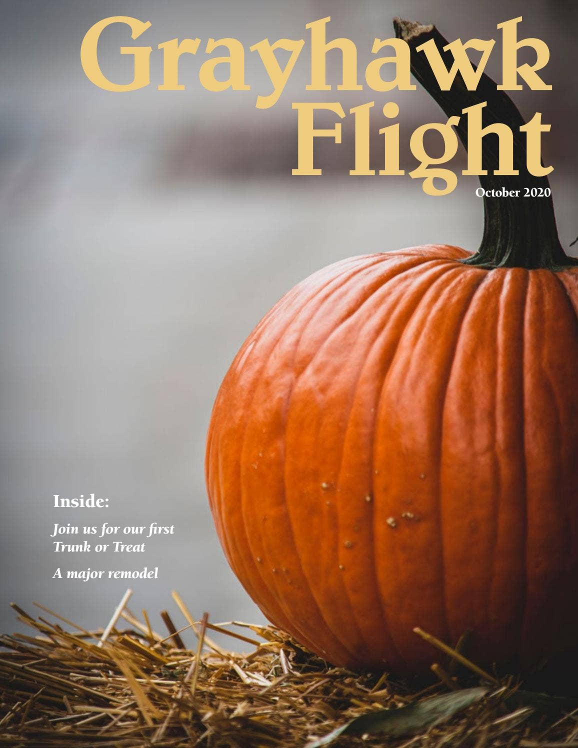 The Grayhawk Flight- October 2020 by Grayhawk Flight - Issuu