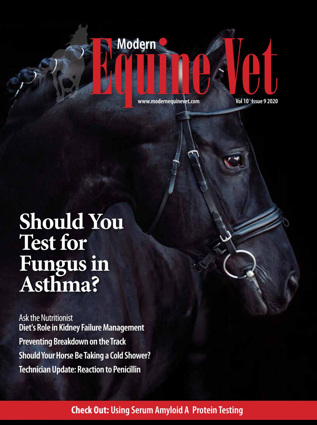 The Modern Equine Vet - September by The Modern Equine Vet - Issuu