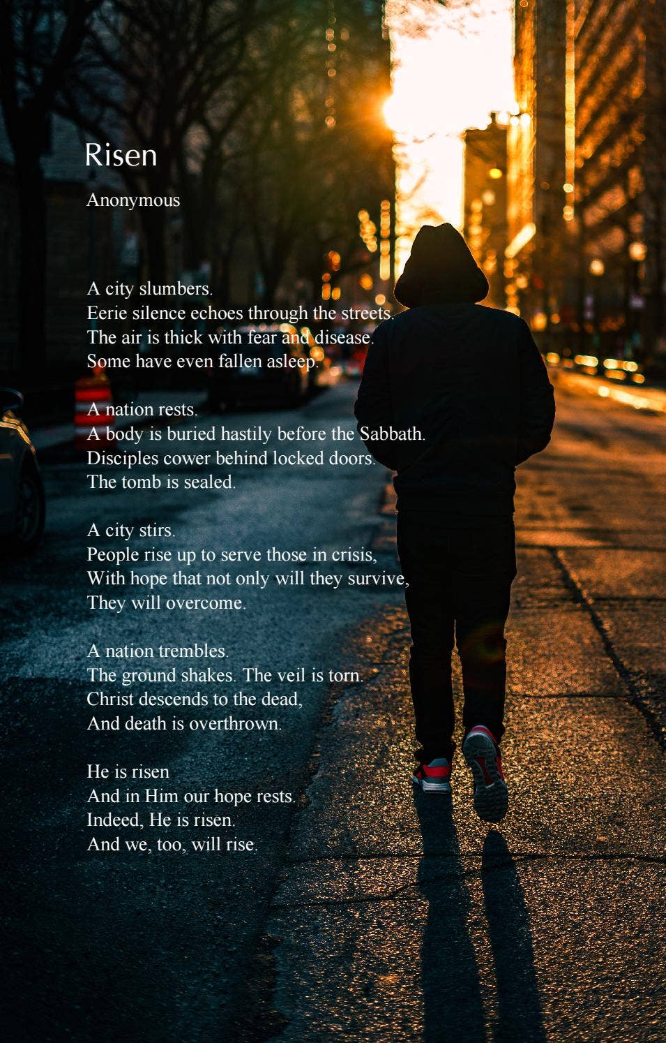 Seed Spring 2020 by Seed at NYU - Issuu