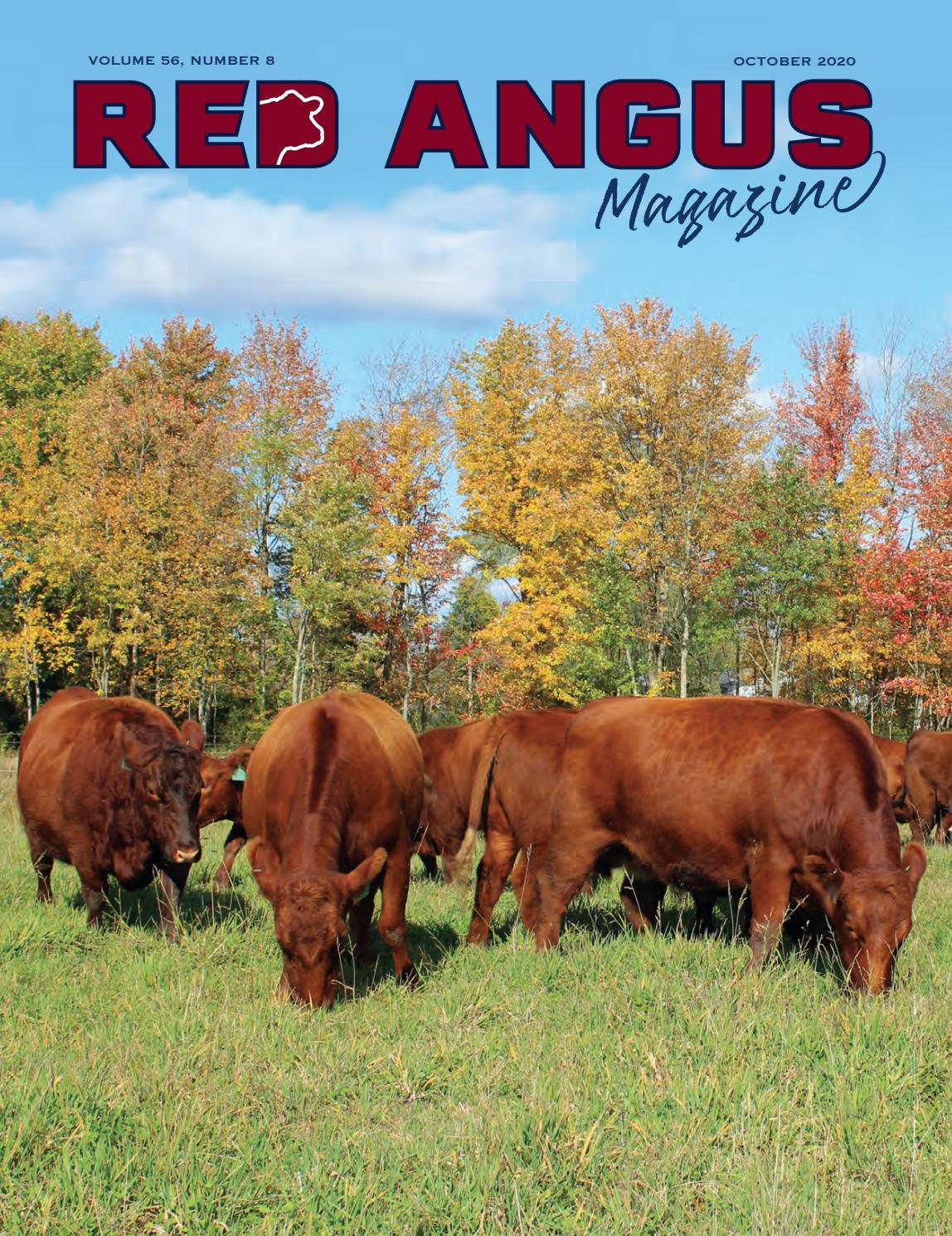 October 2020 = Red Angus Magazine by Red Angus Association of America ...