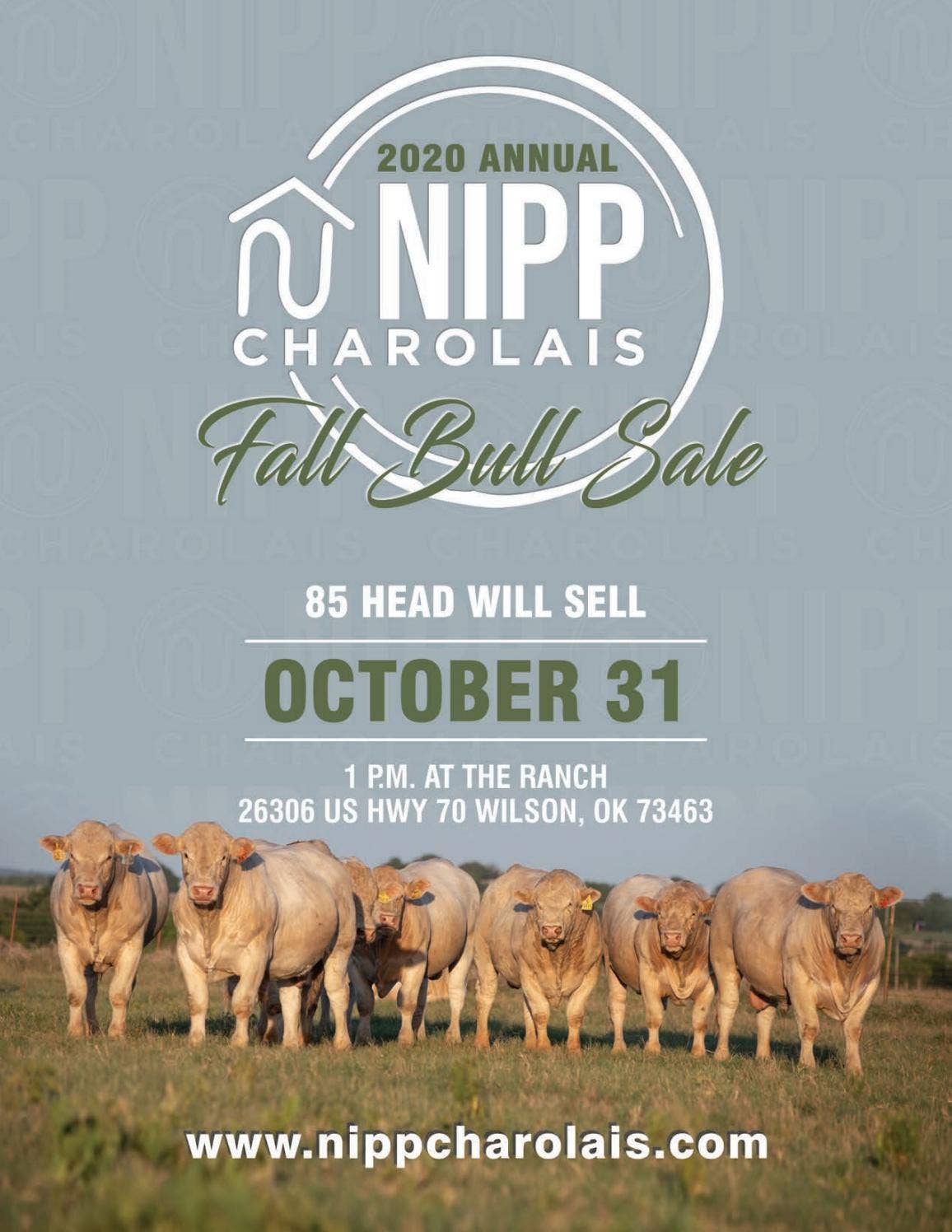 Nipp Charolais 2020 Fall Sale Catalog by LivestockDirect - Issuu