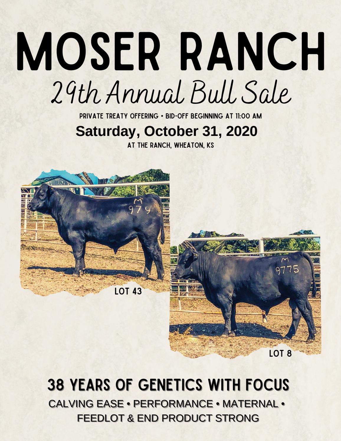 Moser Ranch - 2020 Fall Sale Catalog by LivestockDirect - Issuu