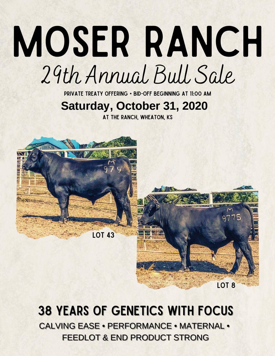 Moser Ranch - 2020 Fall Sale Catalog by LivestockDirect - Issuu
