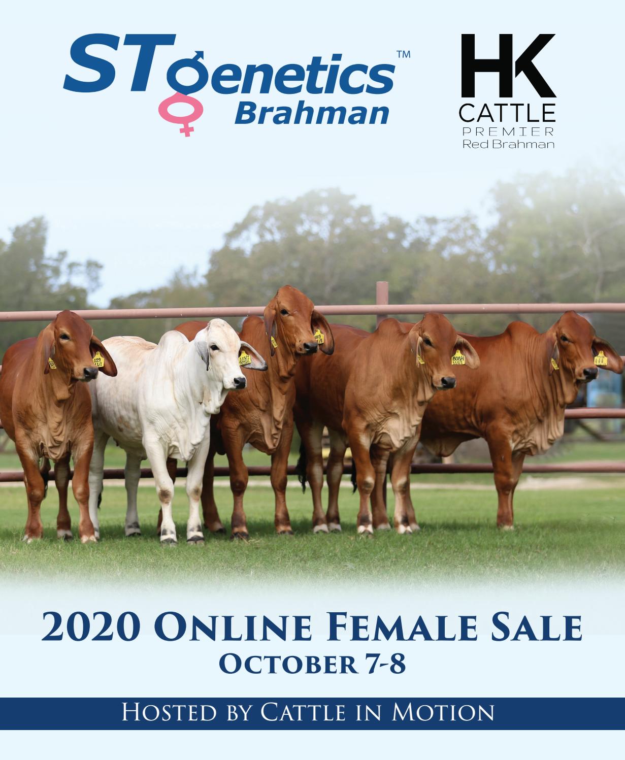 ST Genetics Brahman Online Heifer Sale by Cattle In Motion, LLC - Issuu