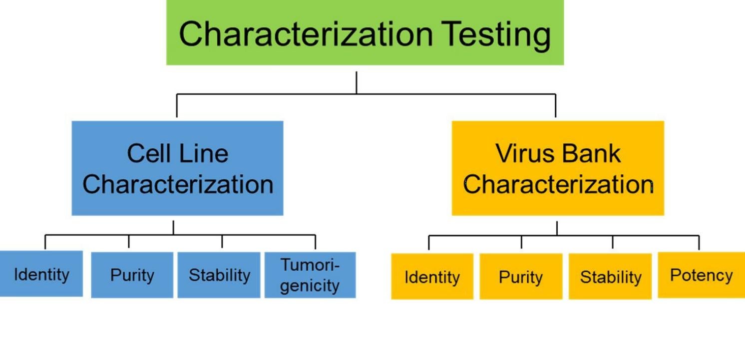Characterization Service by conclubiltz - Issuu