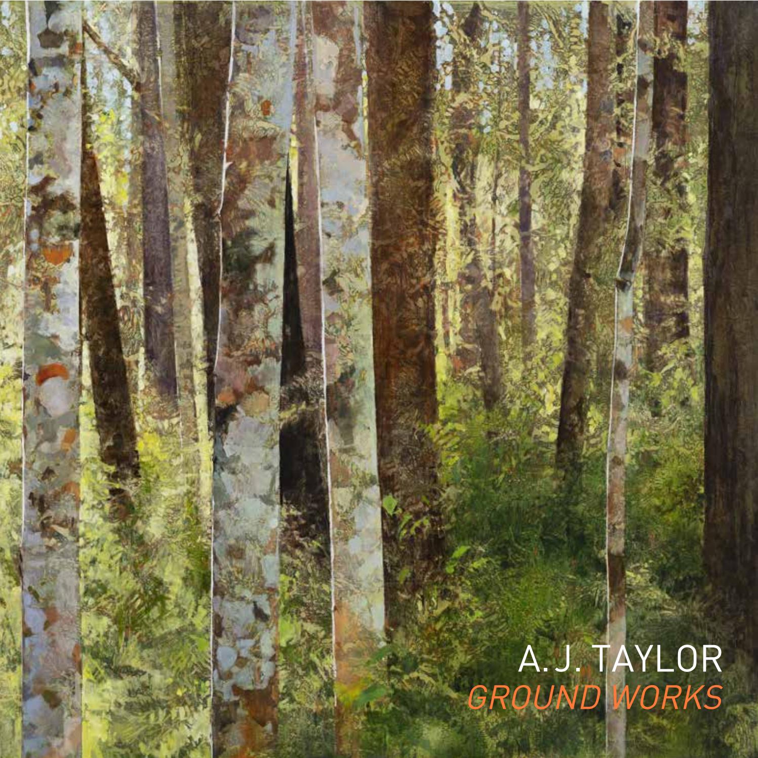 A.J. TAYLOR | GROUND WORKS | 17 SEPTEMBER - 8 NOVEMBER 2020 by MARTIN ...