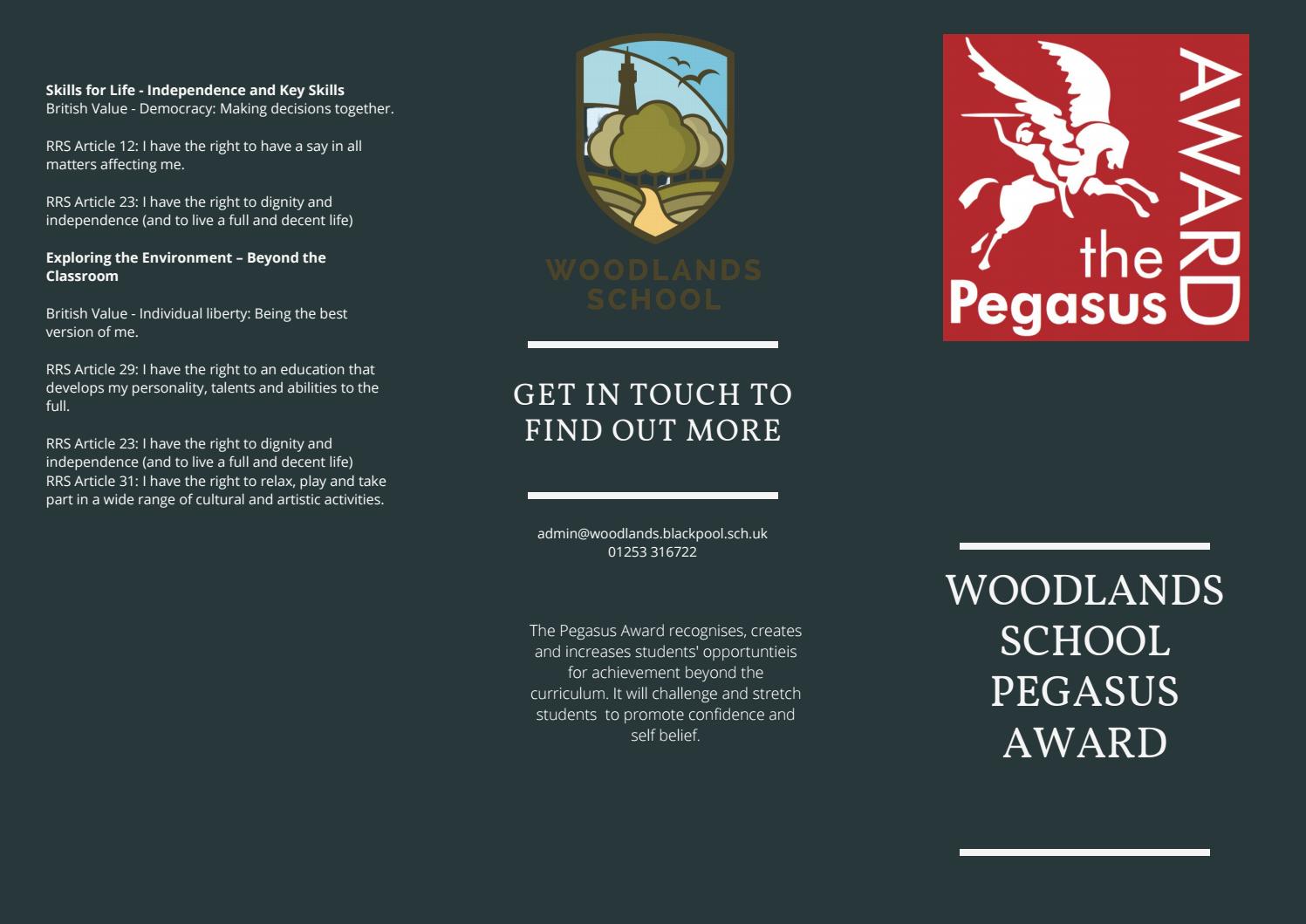 Pegasus Flyer by Schudio - Issuu