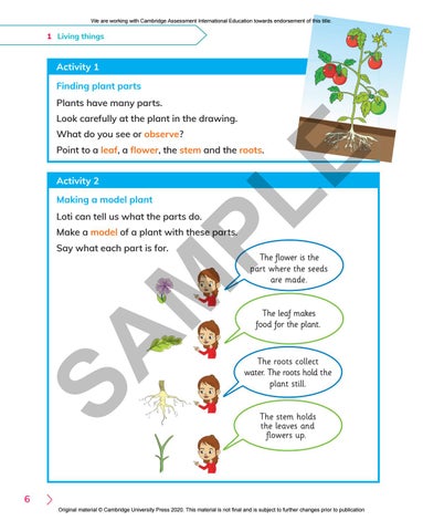 Cambridge Primary Science Learner's book 1 sample by Cambridge ...