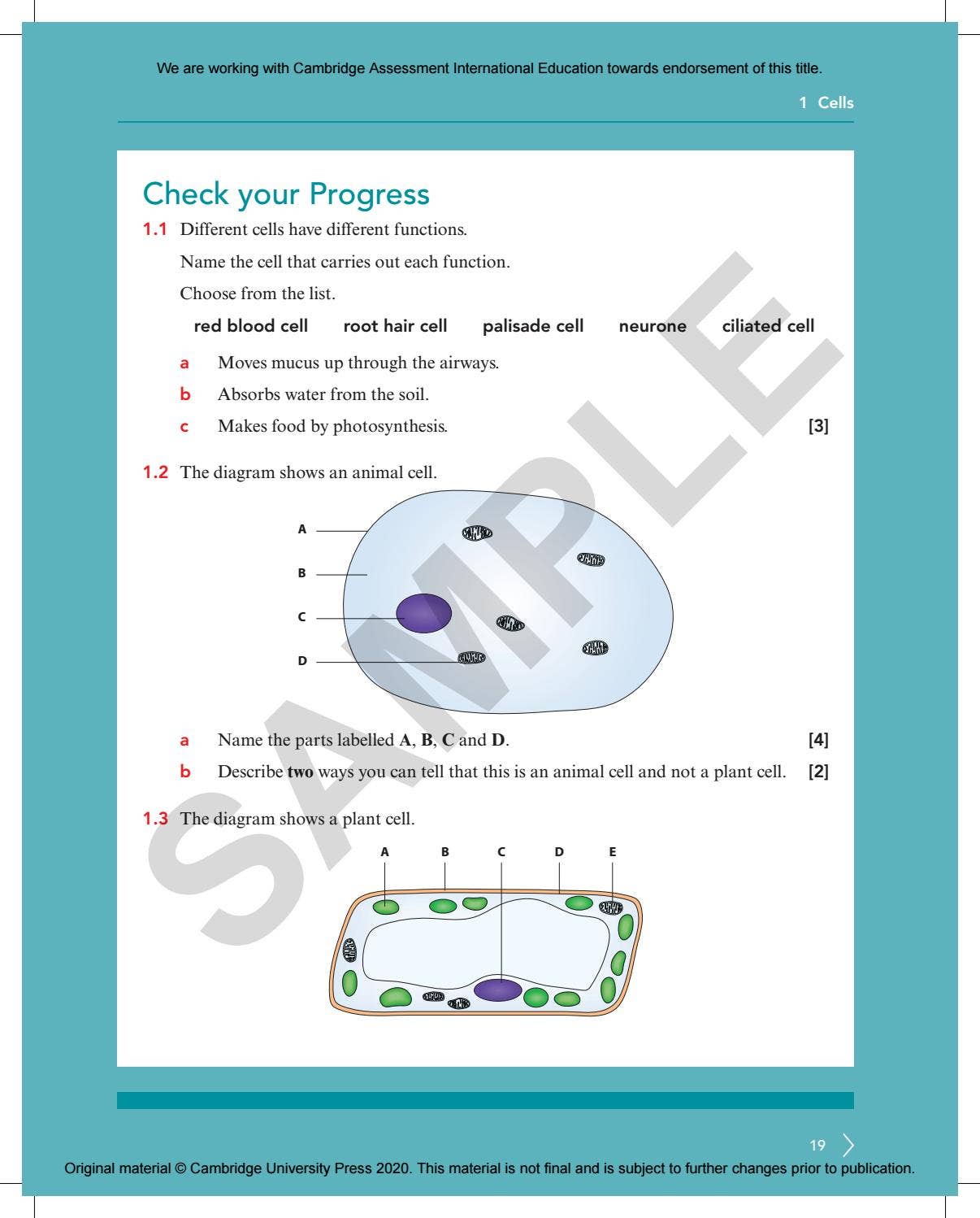 Cambridge Lower Secondary Science Learner's Book 7 sample by Cambridge ...