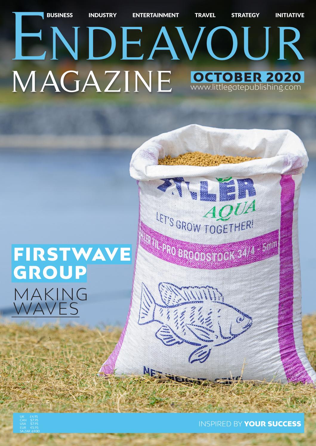 FirstWave Group by Littlegate Publishing - Issuu