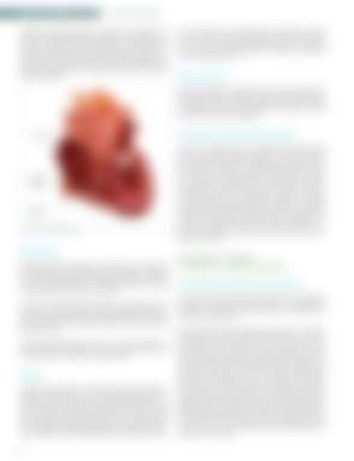 Pediatría - Manual CTO 1.ª edición by Stevens Becket - Issuu