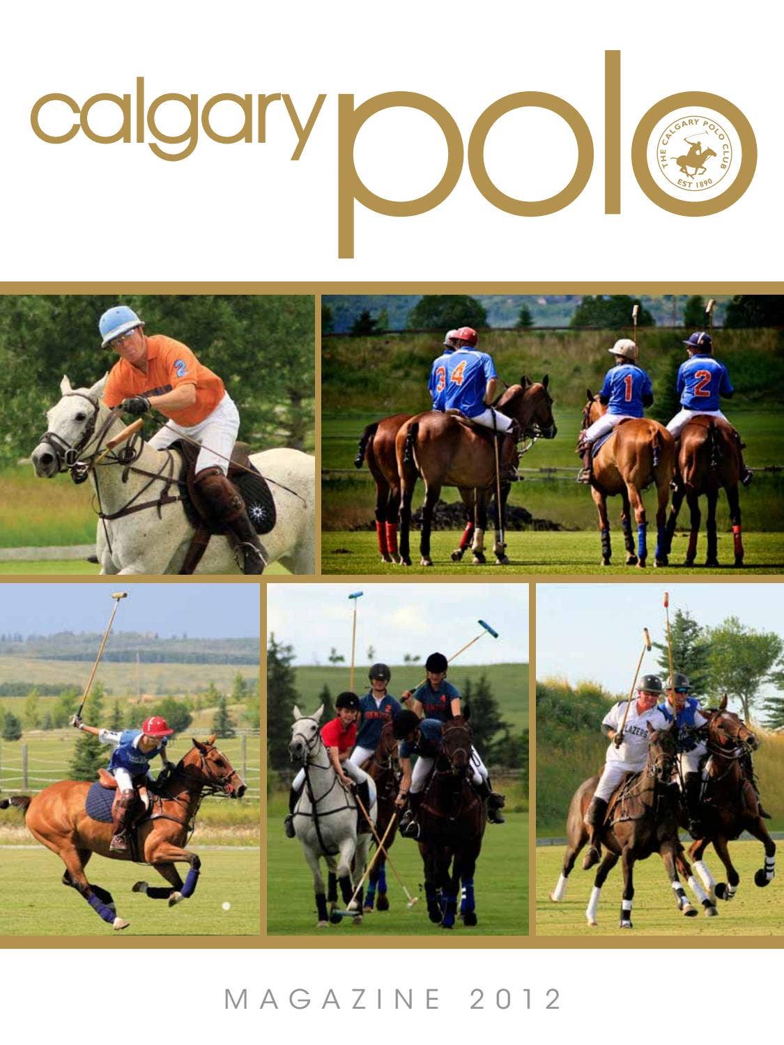 Calgary Polo 2012 by Cdr Trevor D Biscope KCB CD SAS - Issuu