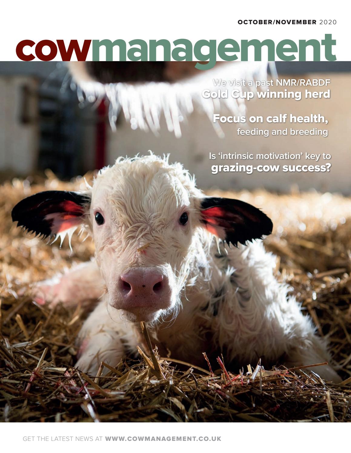 Cowmanagement October/November 2020 by CRV Uitgeverij/CRV Publishers ...