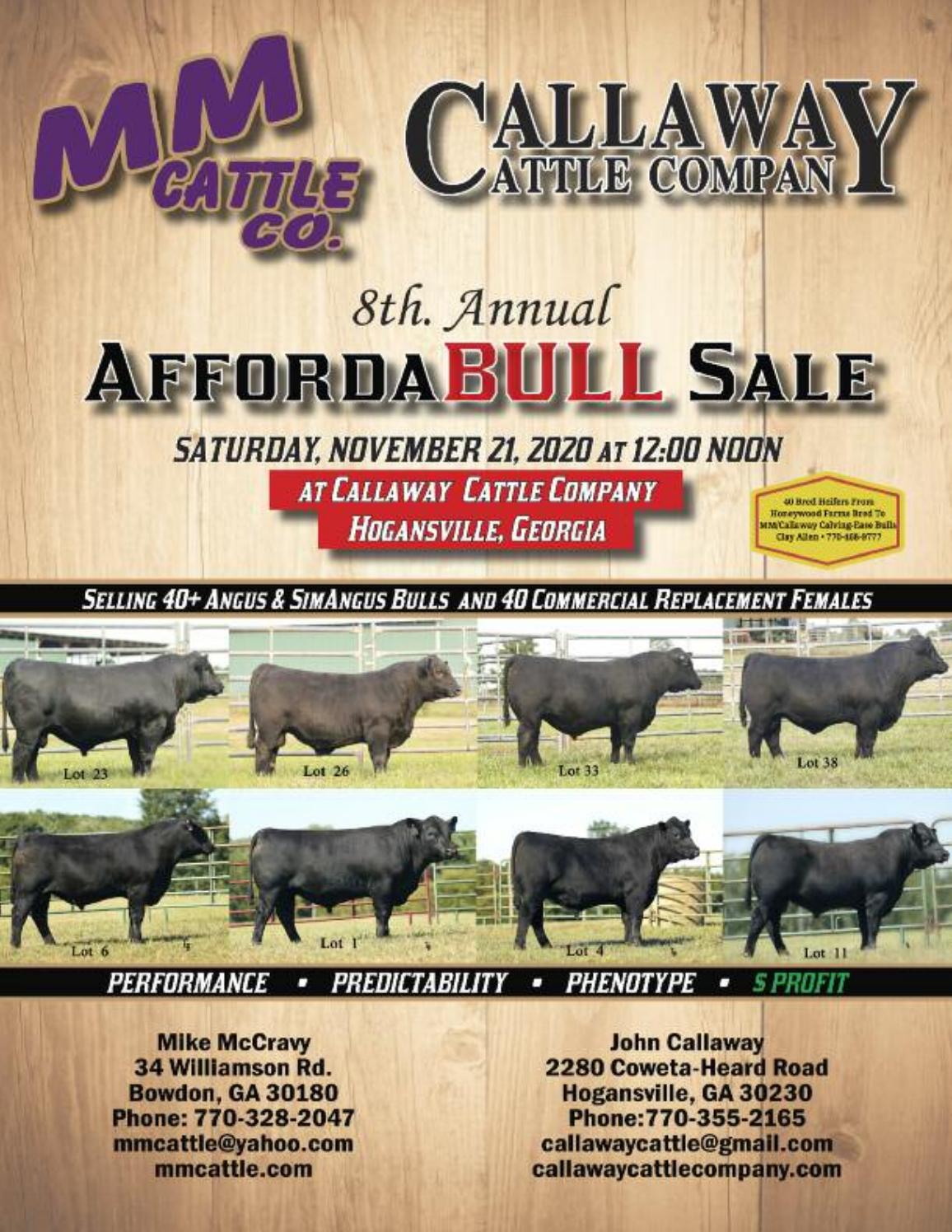 MM Cattle Company / Callaway Cattle Company 8th Annual AffordaBULL Sale ...