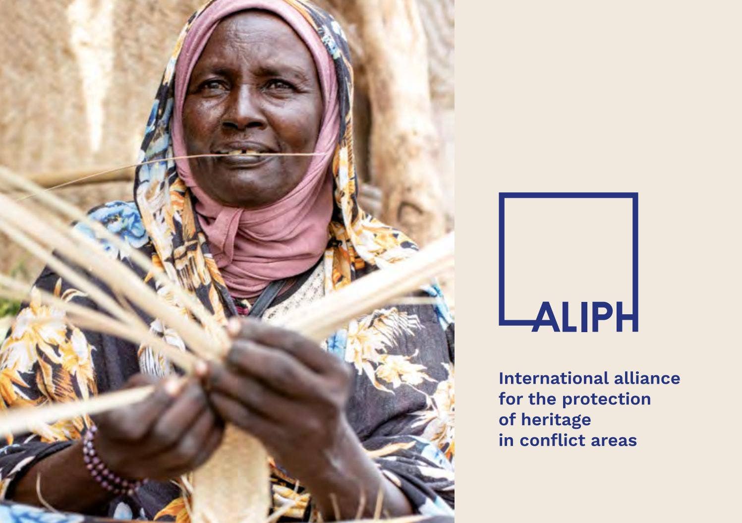 ALIPH Brochure - 2020 by ALIPH Foundation - Issuu