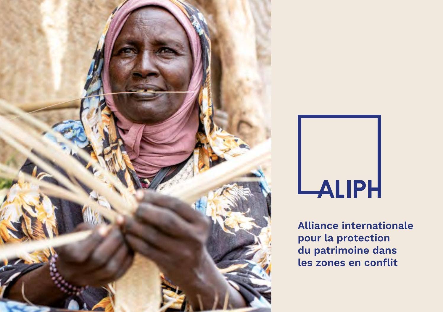 Brochure ALIPH - année 2020 by ALIPH Foundation - Issuu