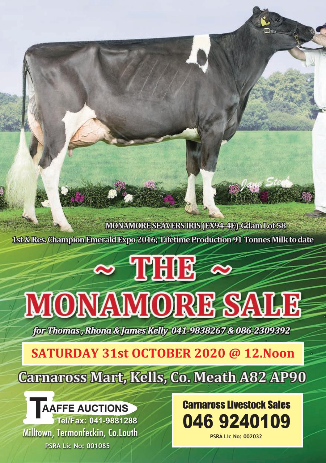 THE MONAMORE SALE by TAAFFE AUCTIONS LTD - Issuu