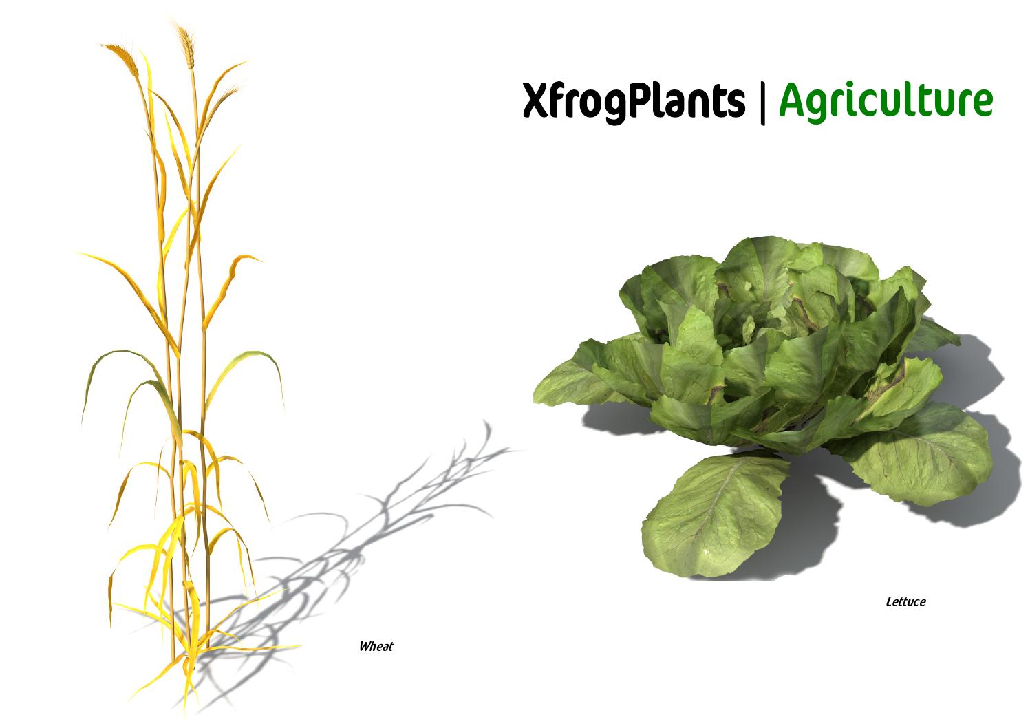 Agriculture xfrogplants jp by XFROG - Issuu