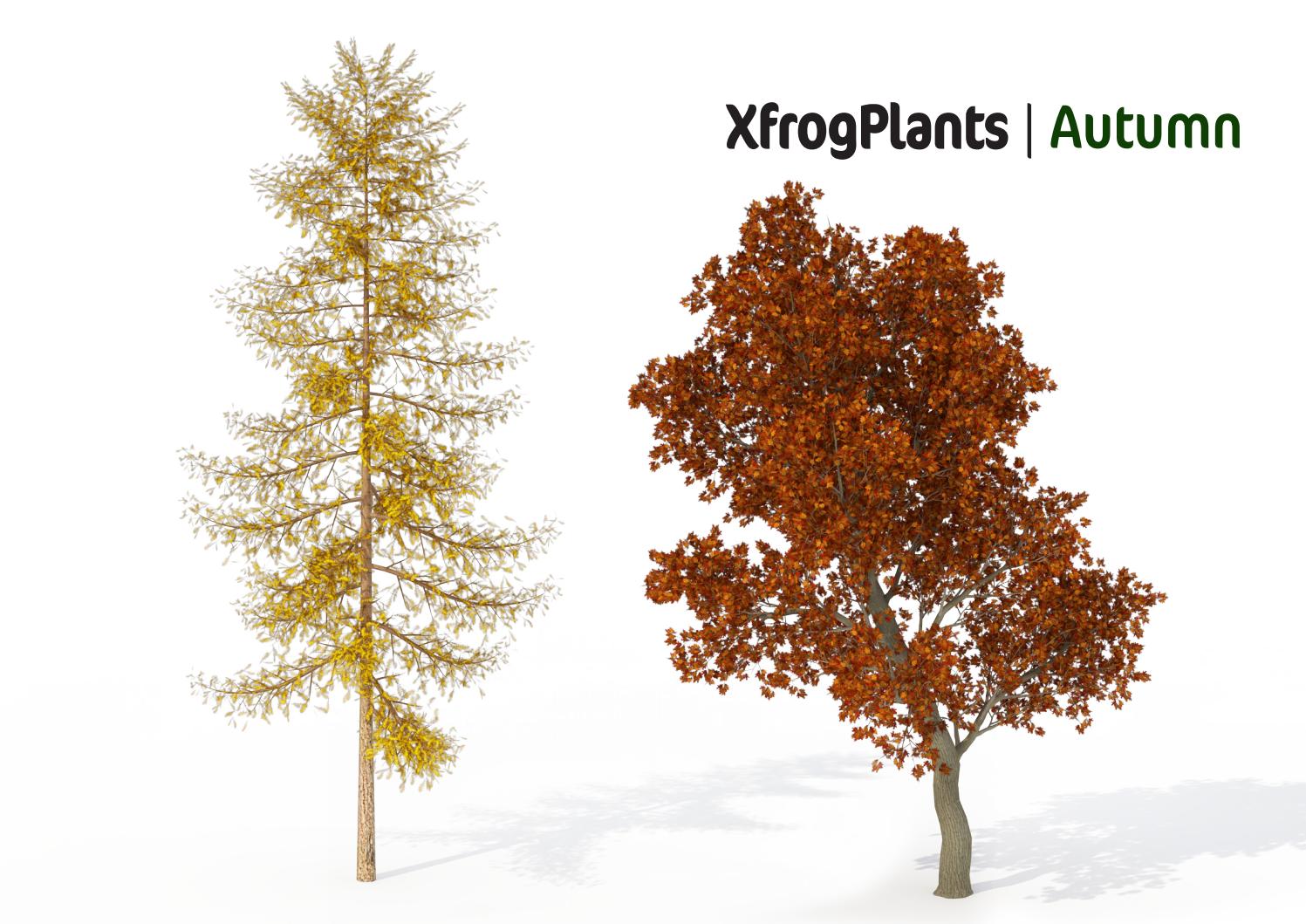 Autumn xfrogplants it by XFROG - Issuu