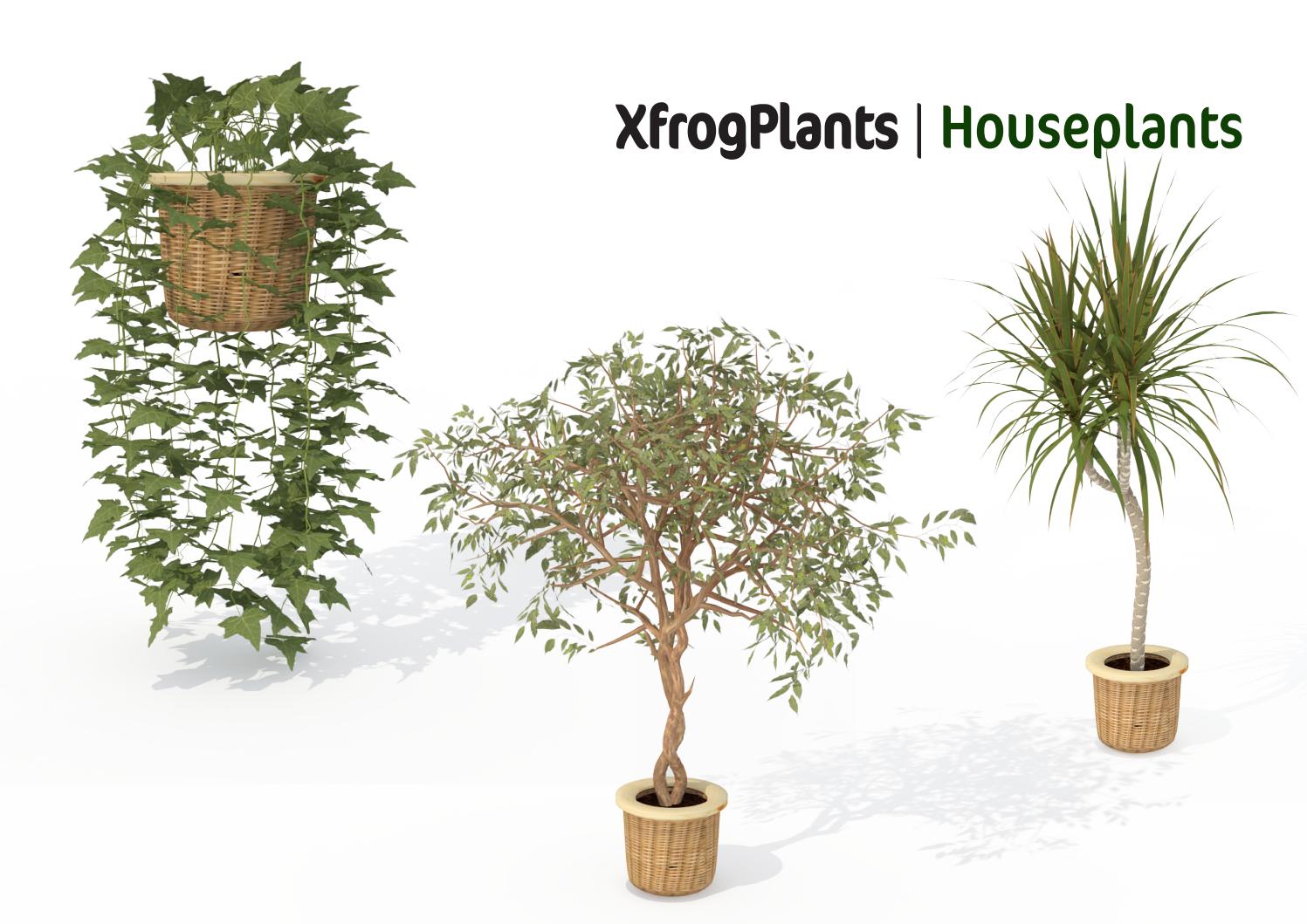 Houseplants xfrogplants jp by XFROG - Issuu