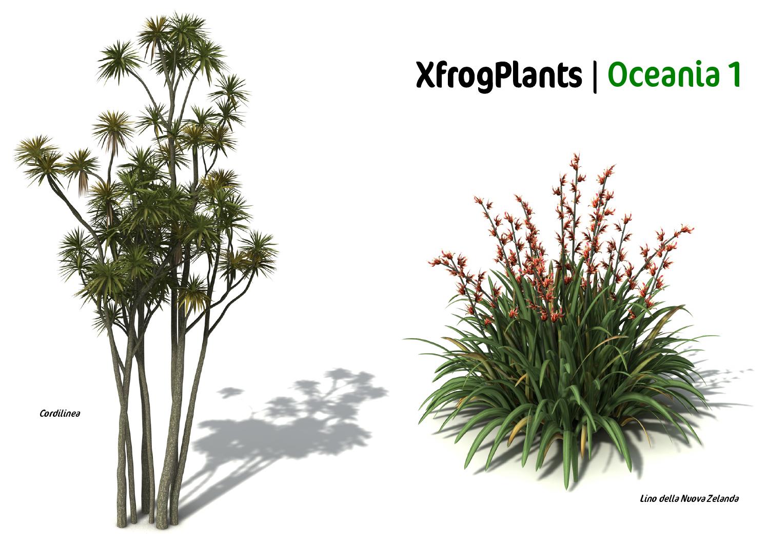 Oceania1 xfrogplants it by XFROG - Issuu