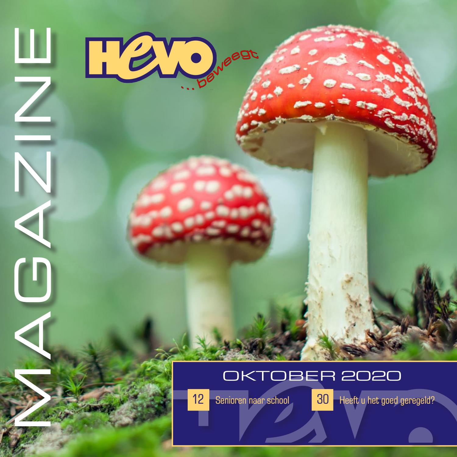 HEVO-Magazine oktober 2020 by vormgevers6 - Issuu