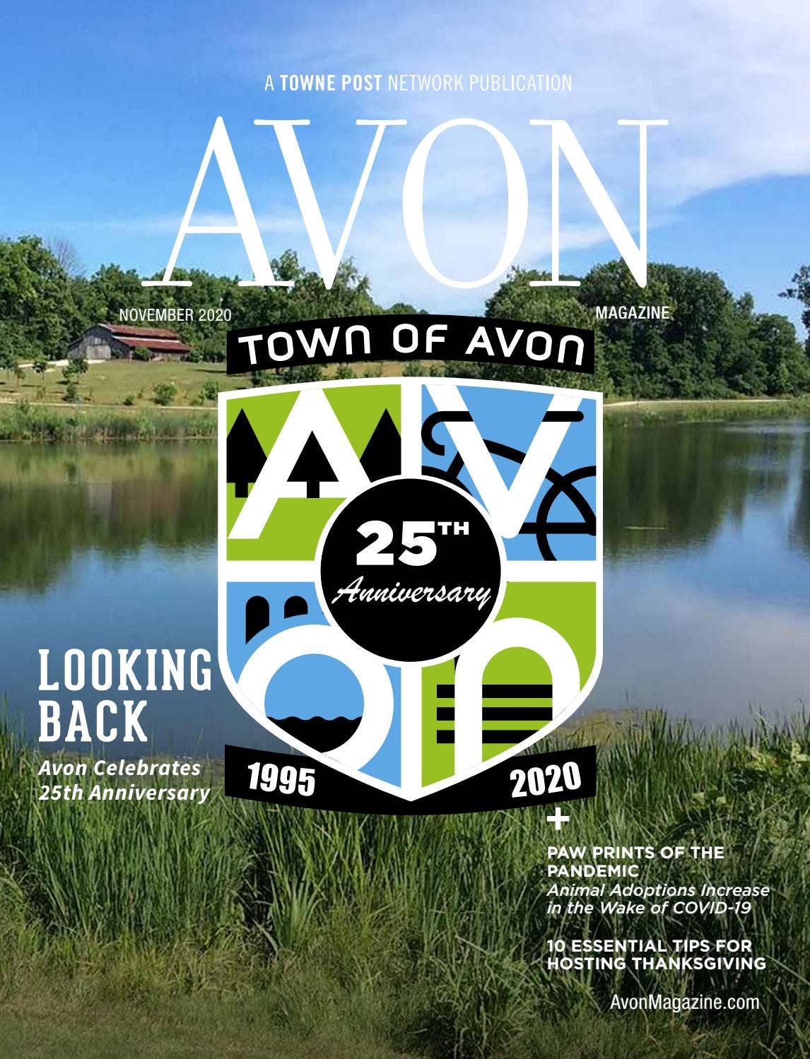 Avon Magazine November 2020 by Towne Post Network, Inc. - Issuu