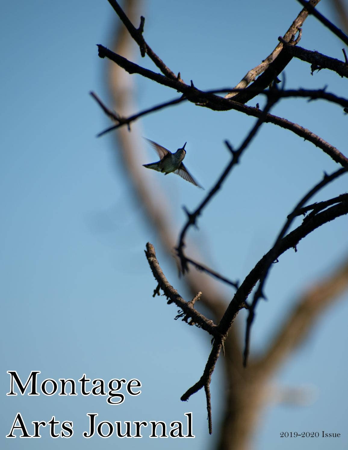 Montage | Issue #14 by Montage Arts Journal - Issuu
