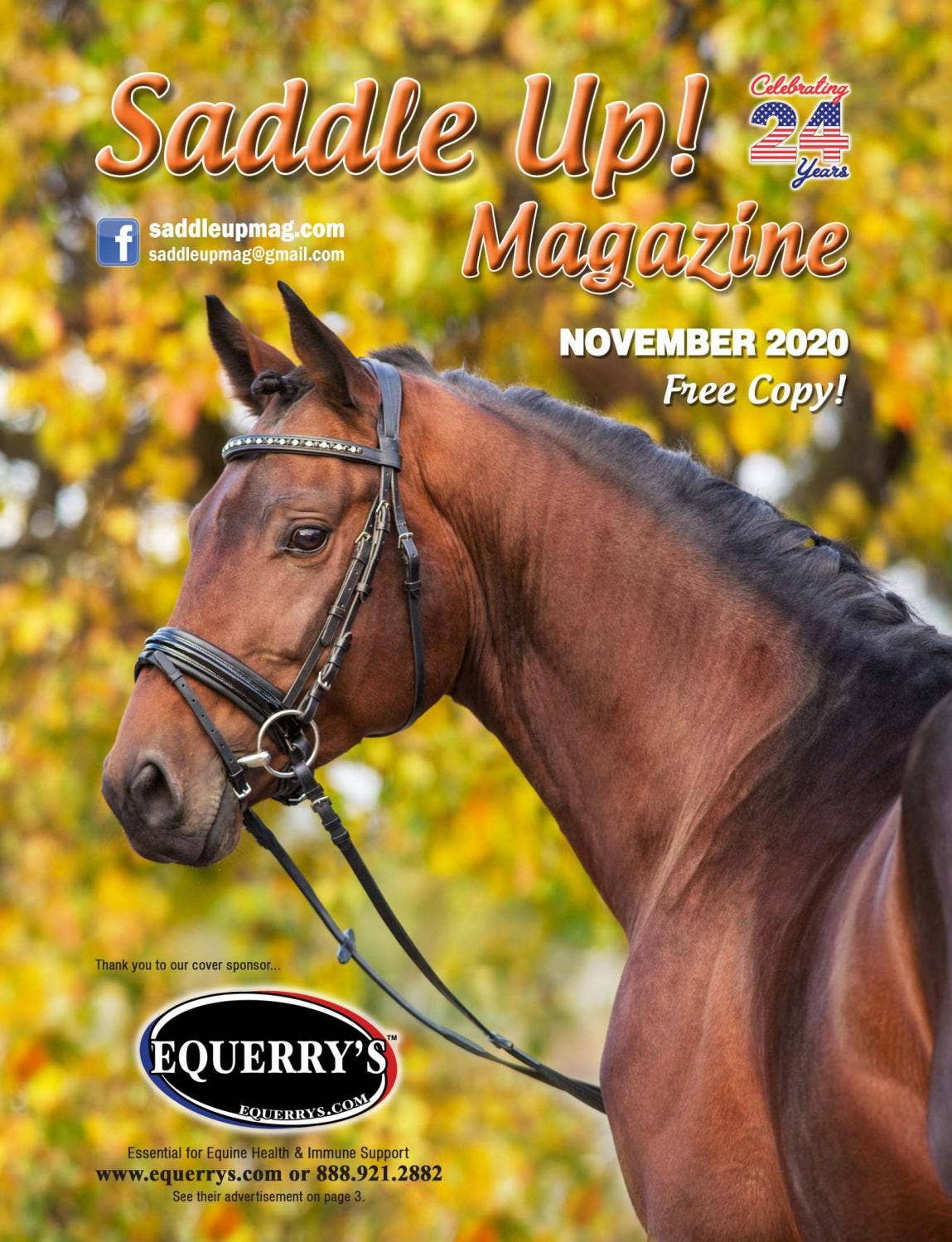 November 2020 Saddle Up! Magazine by Saddle Up! Magazine - Issuu