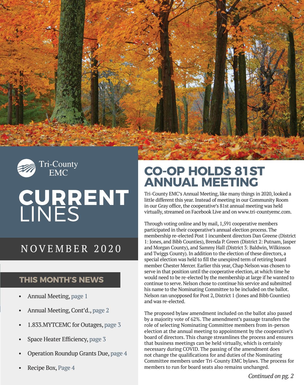 Current Lines - November 2020 by Tri-County EMC - Issuu