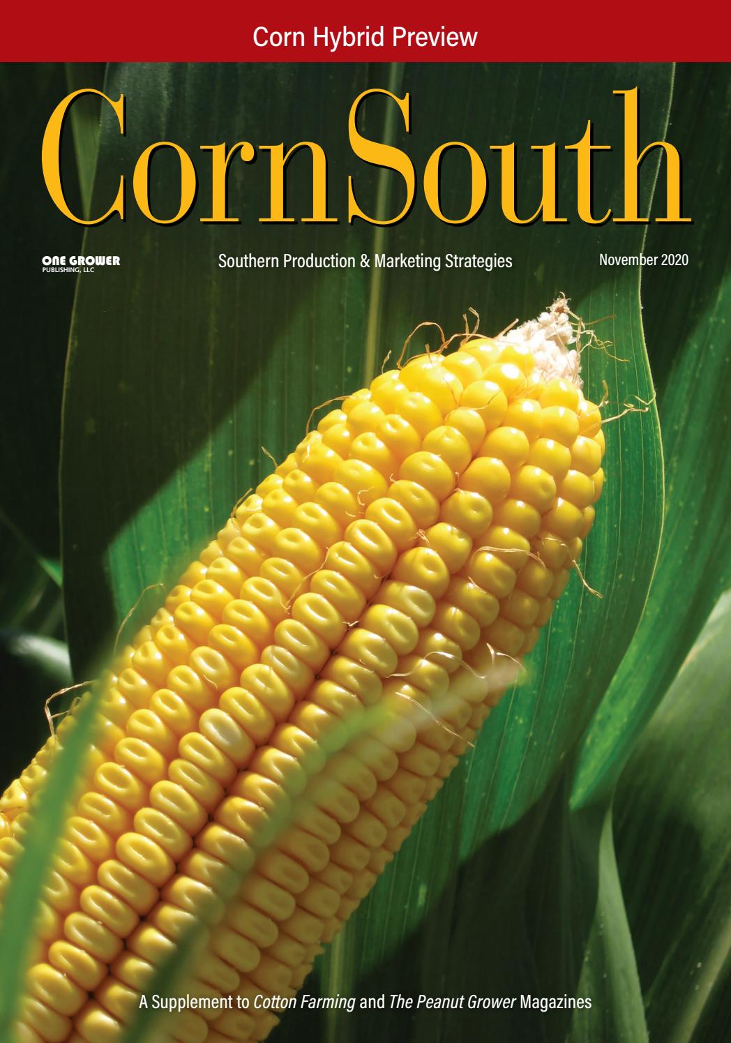 Corn South November 2020 by One Grower Publishing - Issuu