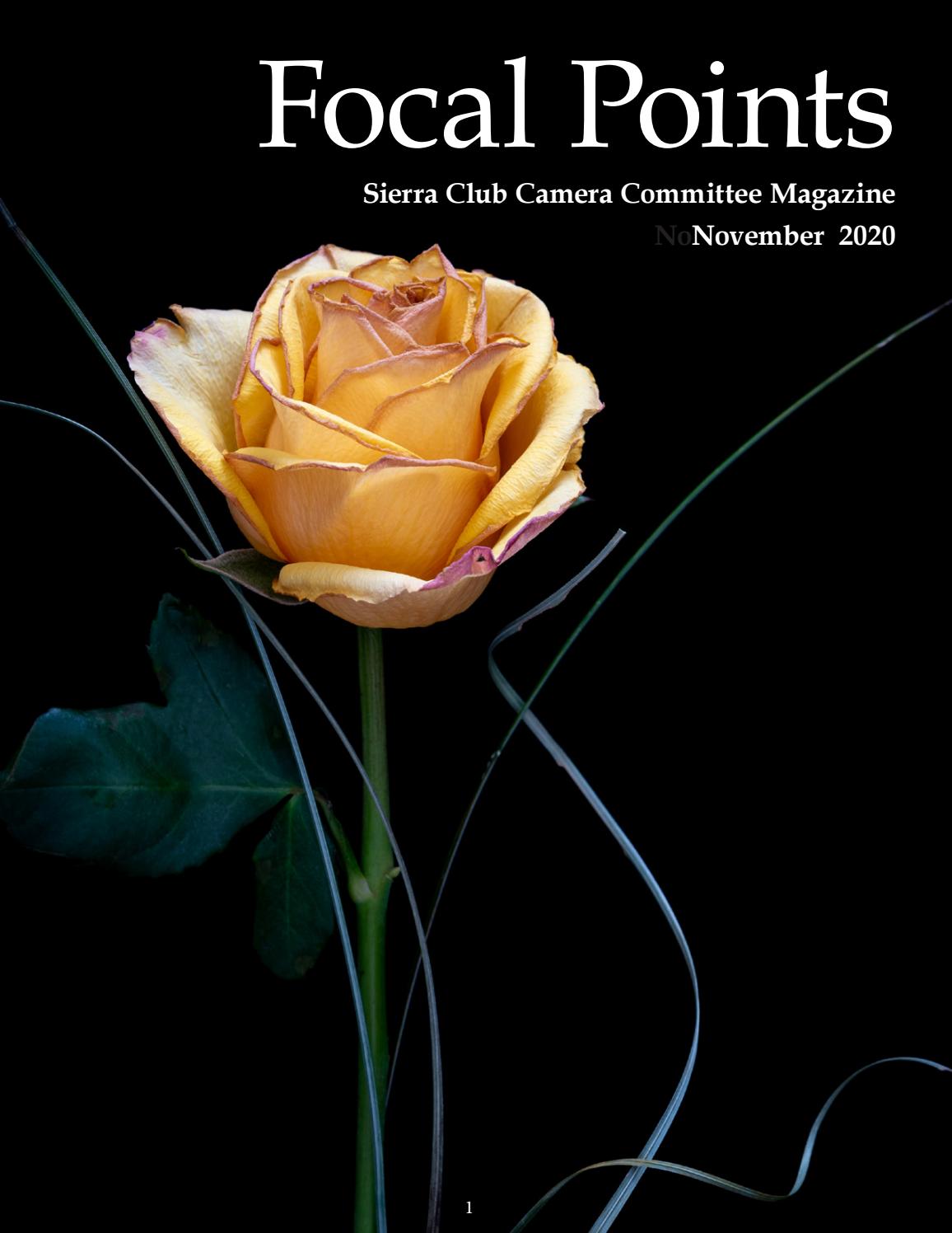 November 2020 Focal Points Magazine by John Nilsson - Issuu