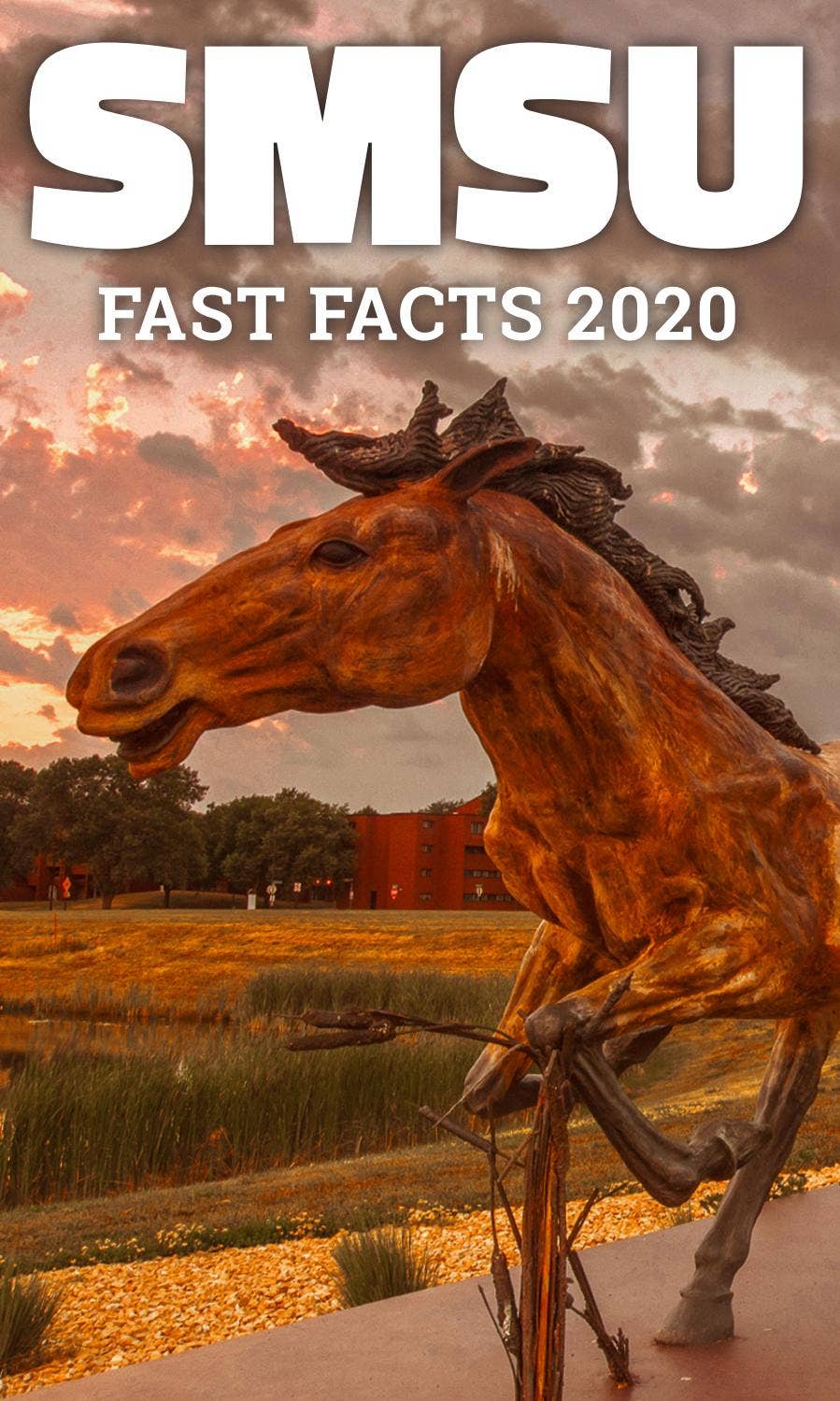 SMSU Fact Book, Fall 2020 by Southwest Minnesota State University - Issuu