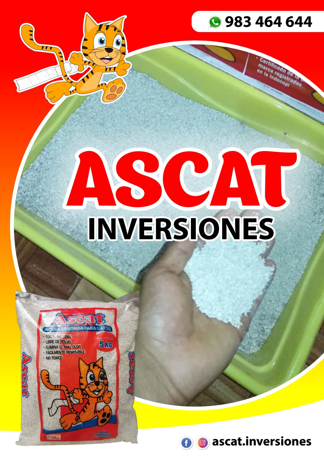 Ascat Inversiones by Shirley Rios | Diseñadora Gráfica - Issuu