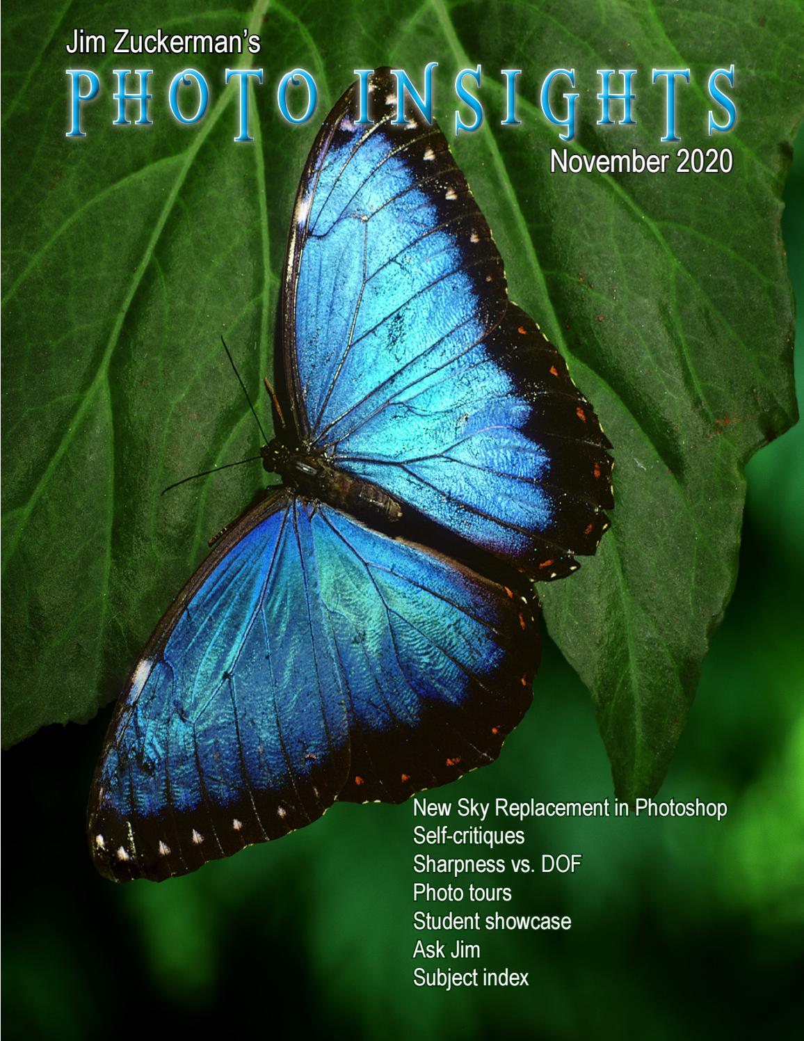 Photo Insights Nov. '20 by Jim Zuckerman photography - Issuu