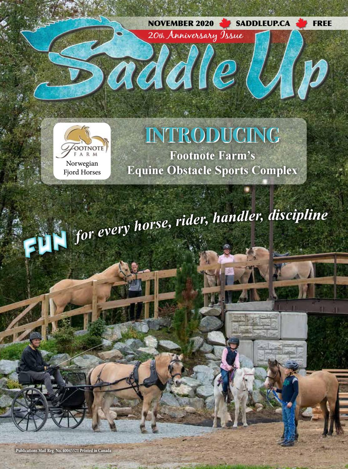Saddle Up November 2020 by Saddle Up magazine - Issuu
