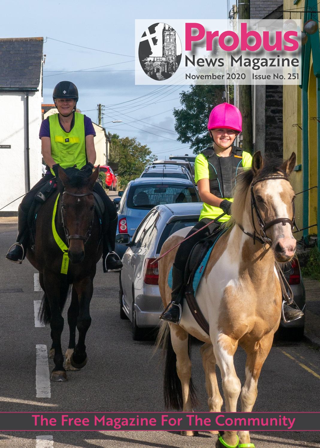 Probus News Magazine - November 2020 edition by Probus News Magazine ...