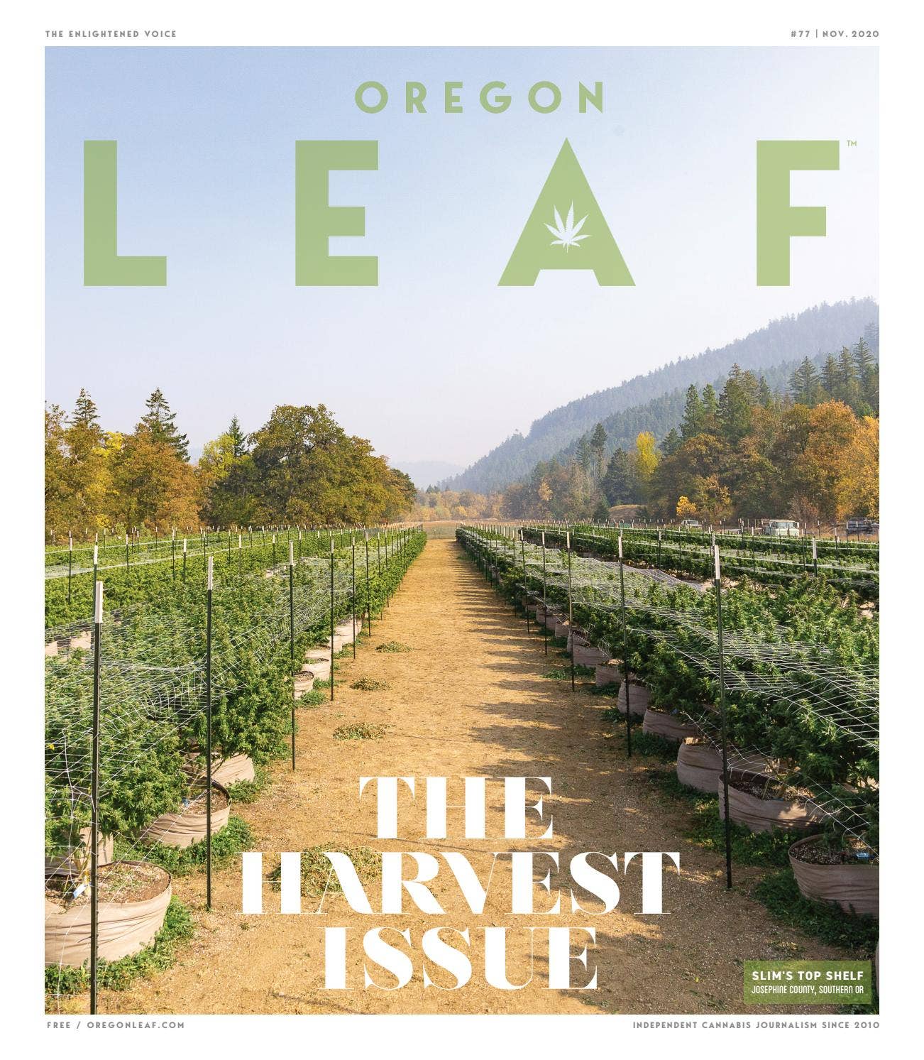 Nov. 2020 - Oregon Leaf by Northwest Leaf / Oregon Leaf / Alaska Leaf ...