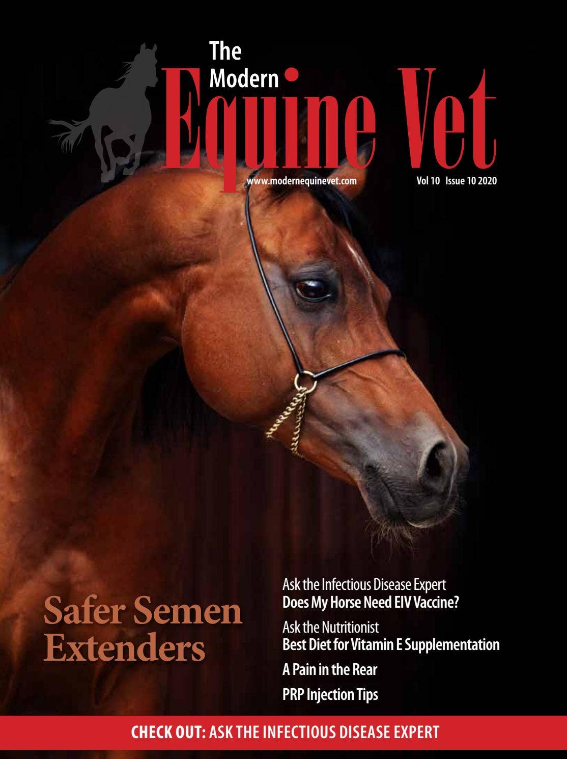 The Modern Equine Vet - October 2020 by The Modern Equine Vet - Issuu