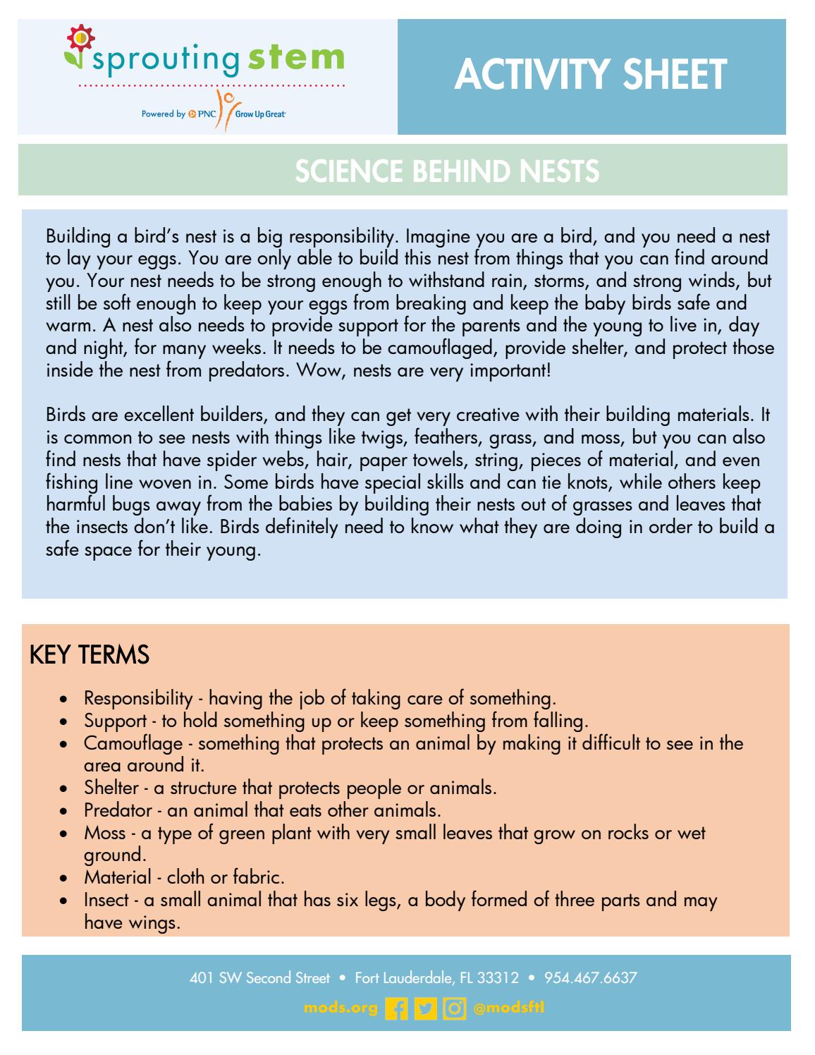 Virtual Sprouting STEM: Birds Nest Activity Sheet by MODS - Issuu
