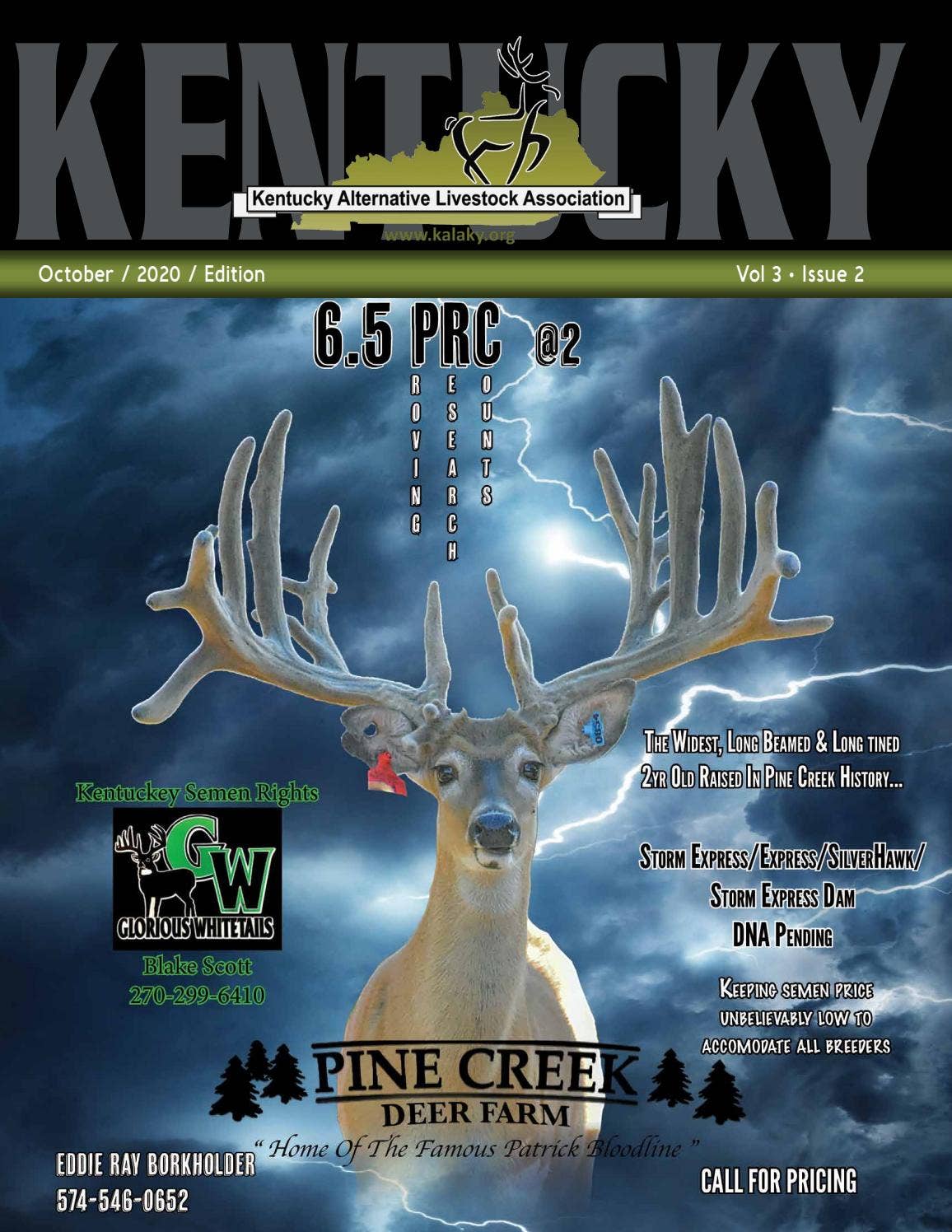 KY NOVEMBER 2020 by DandKDesign - Issuu